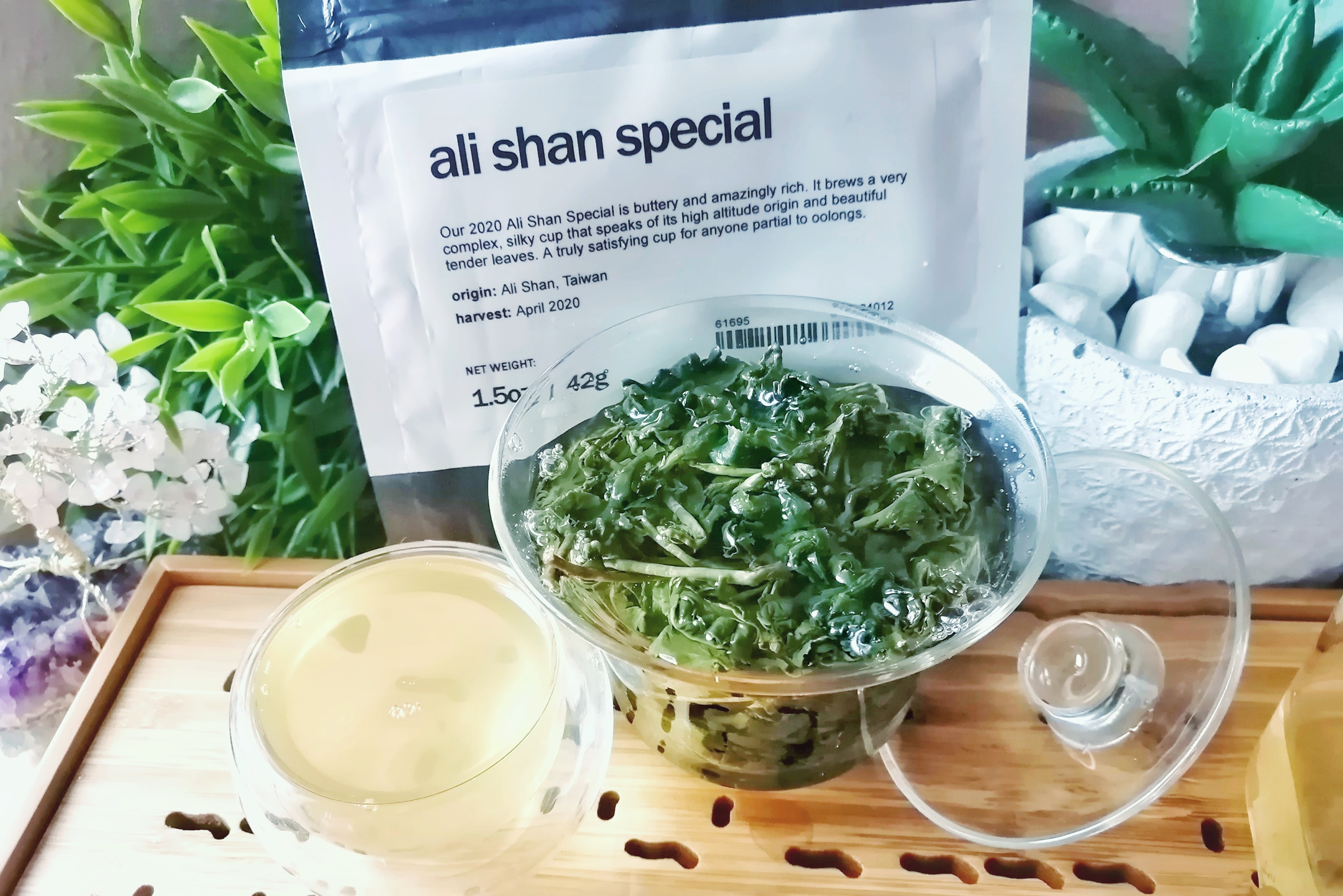 What Is Gao Shan Cha / High Mountain Tea? – Kimberley's Kyusu