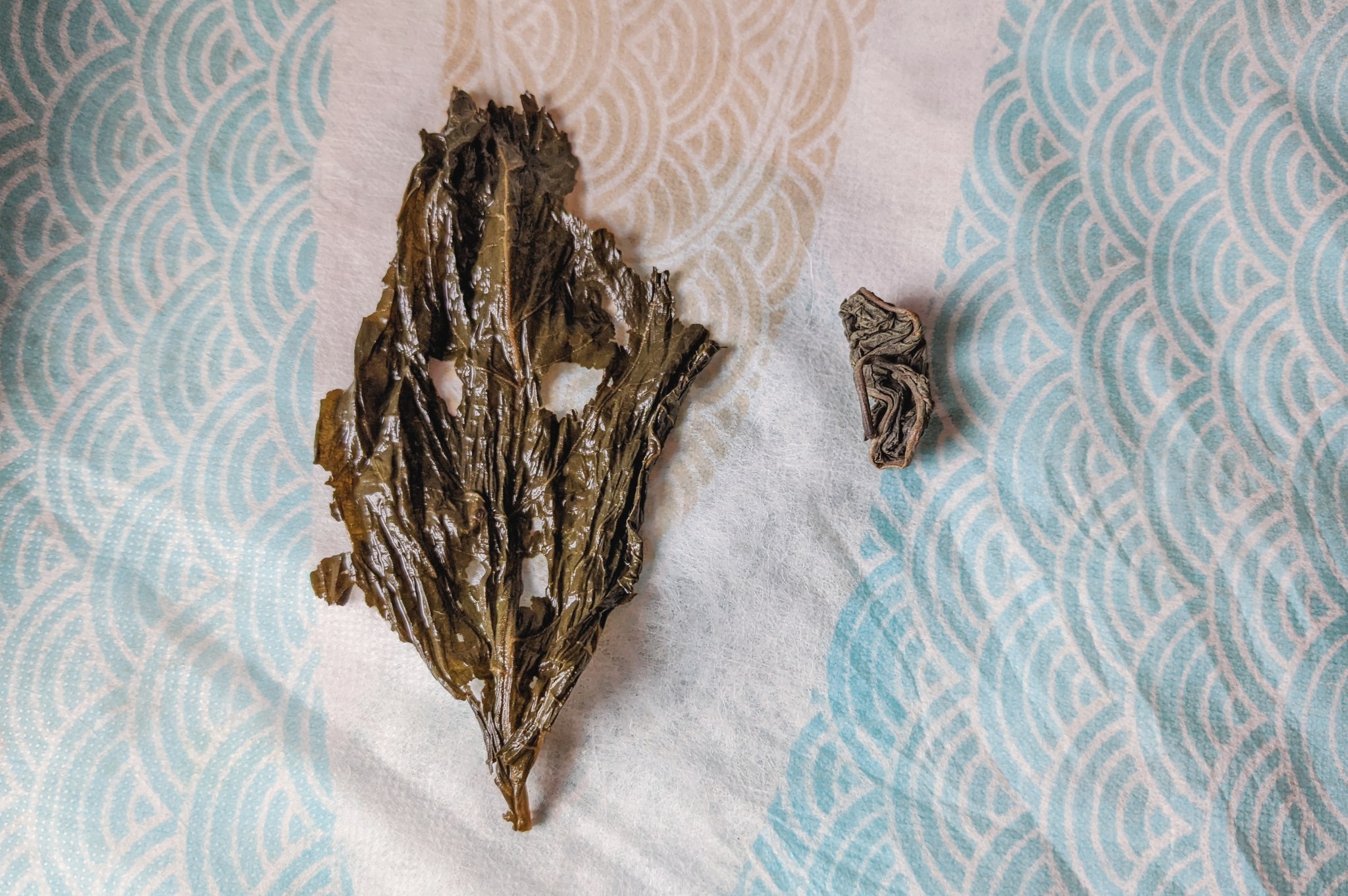 What is Amacha? – A Japanese Herbal Tisane – Kimberley's Kyusu