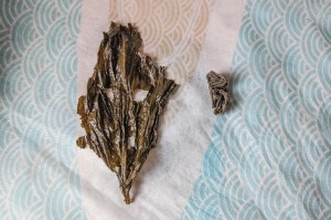 What is Amacha? – A Japanese Herbal Tisane – Kimberley's Kyusu