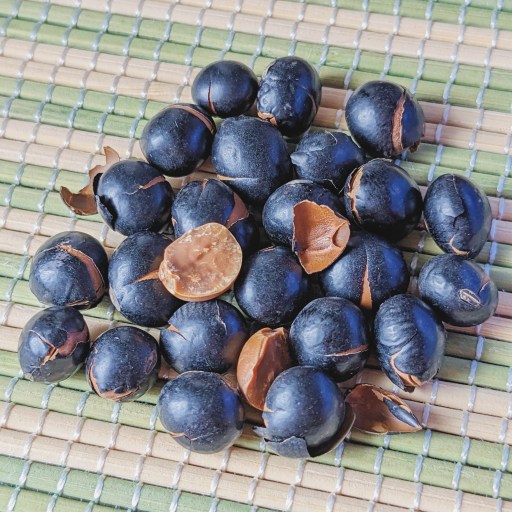 What is Kuromame?(Black Soybean ”Tea”) – Kimberley's Kyusu